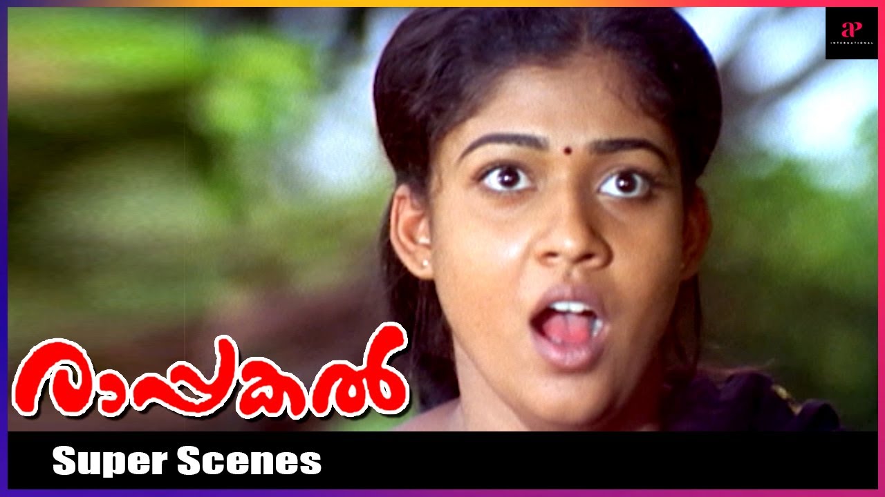 Mammootty Asks Nayanthara To Get Down | Rappakal Malayalam Movie Scenes ...