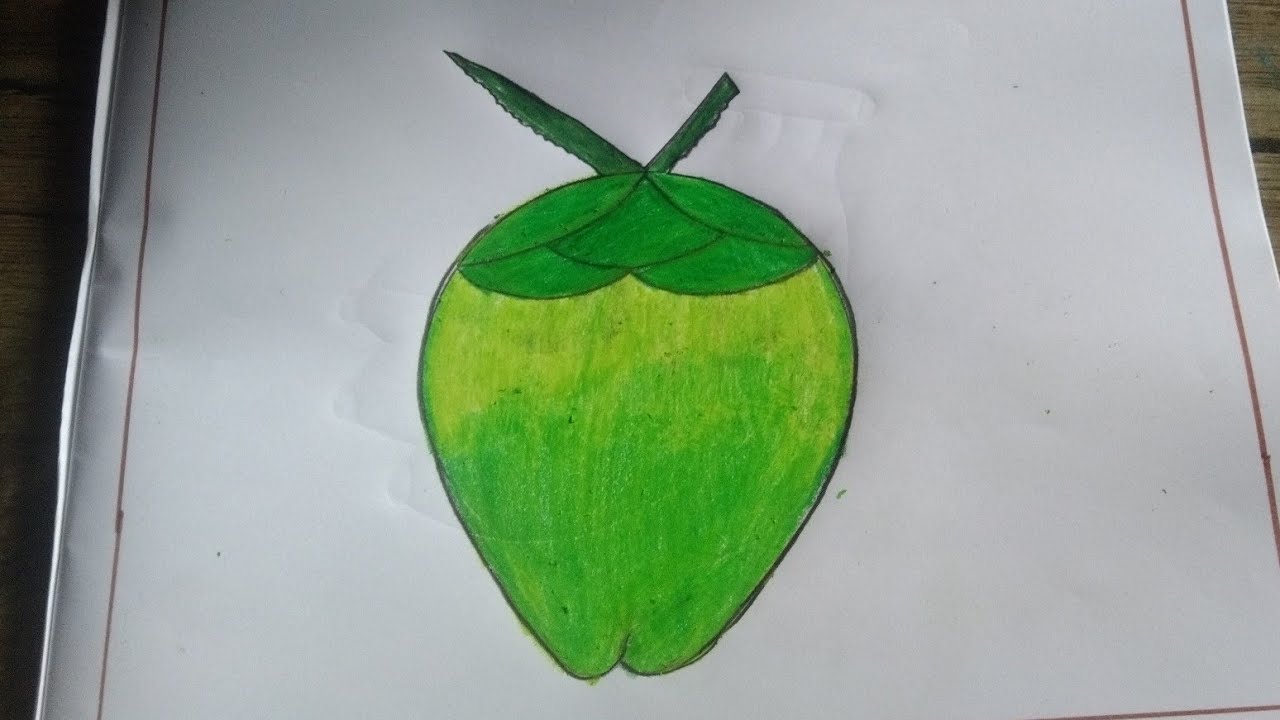 Easy Green Coconut Drawing || Step-by-Step Green Coconut Drawing Guide ...
