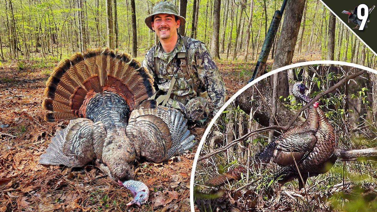 Turkey Tour Day 9 - (Ted calls in the same Gobbler TWICE!!) - YouTube
