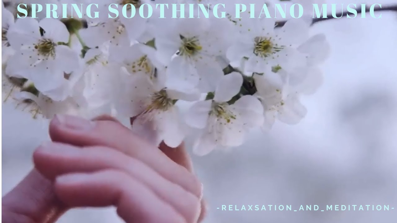 Beautiful spring soothing piano music to relieve stress and anxiety ...
