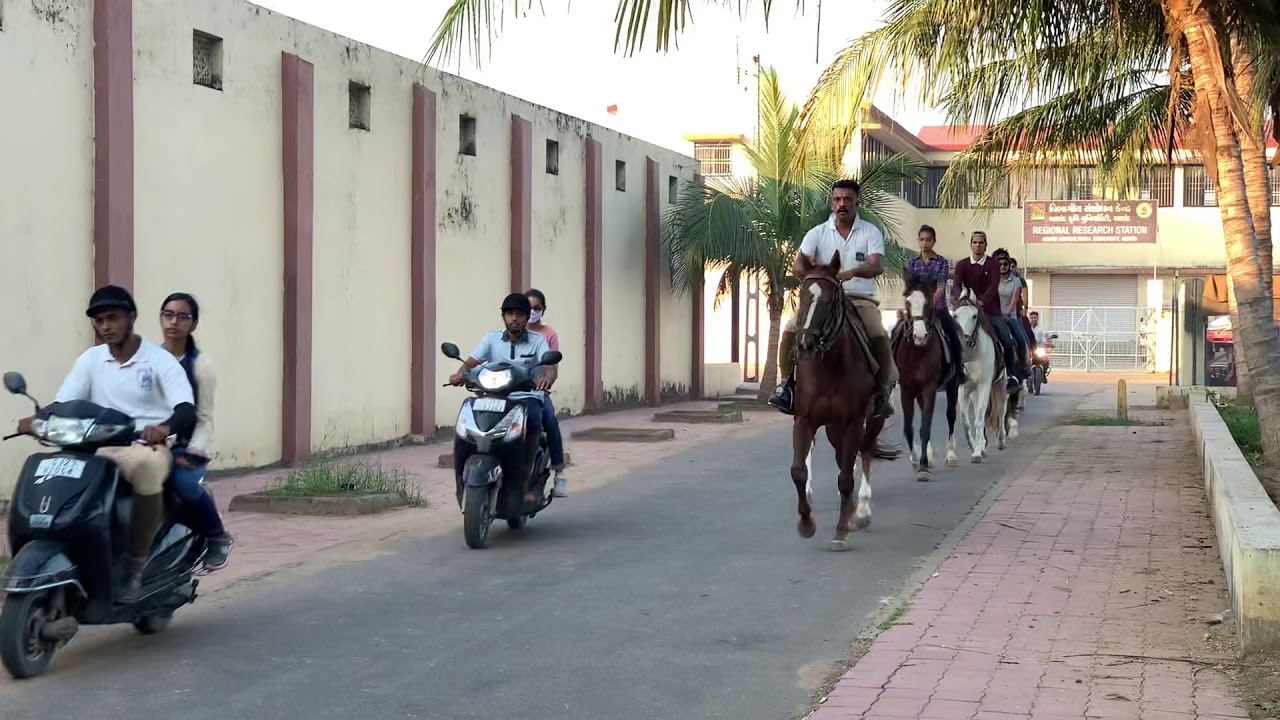 SARDAR PATEL HORSE RIDING CLUB..Anand - YouTube