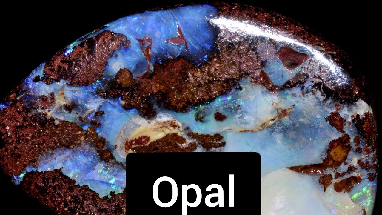 Opal - YouTube