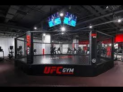 UFC GYM in Ajman, UAE. - YouTube