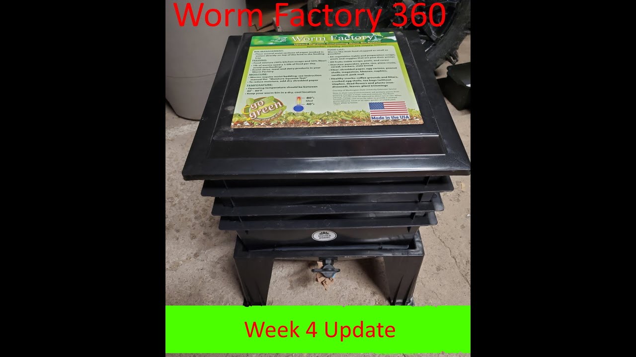 Worm Factory 360 Worm Bin - Week 4 - YouTube