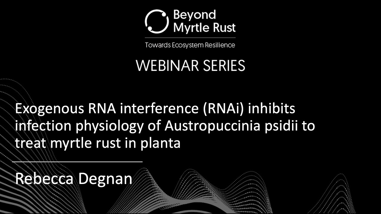 Beyond Myrtle Rust: Exogenous RNA interference inhibits infection ...