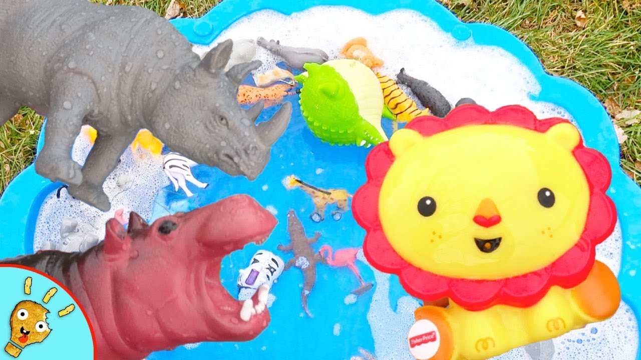 Learn WILD Animals in a Sudsy Shell Pool by Squishee Nugget - YouTube
