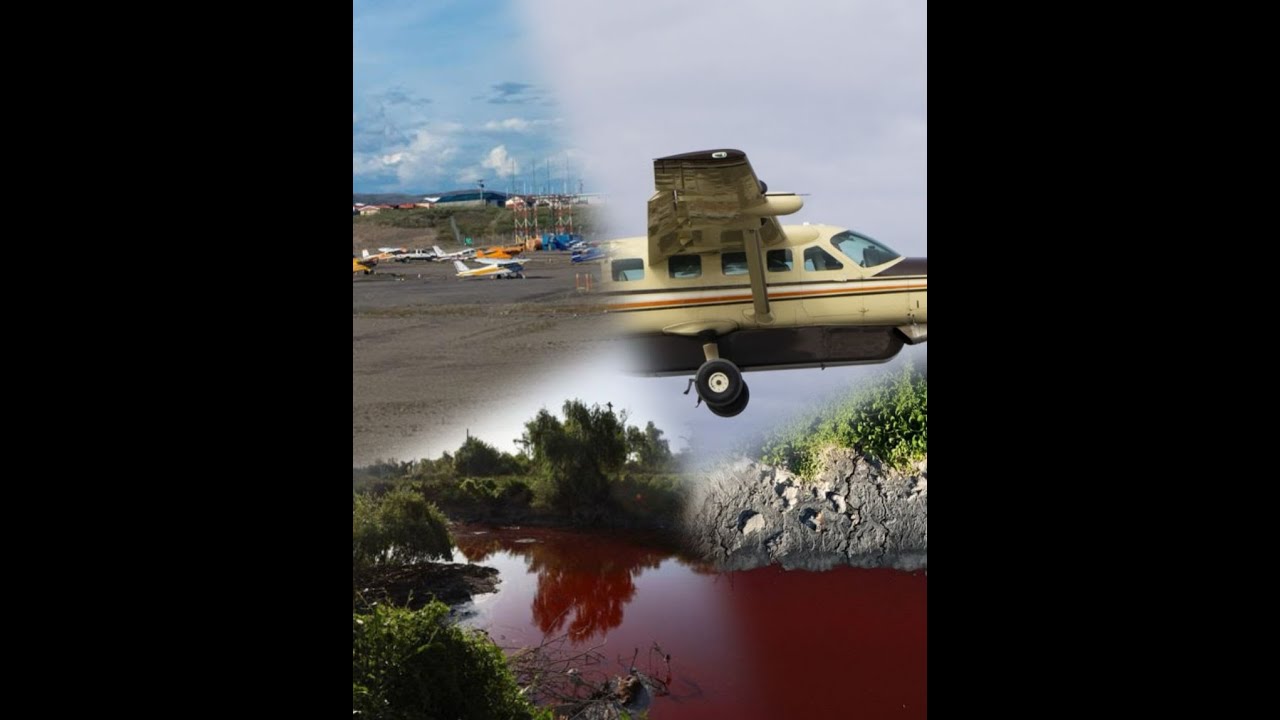 😱😨Fear in Argentina as River Turns Red|🔴 102 Snakes Found in Sydney ...