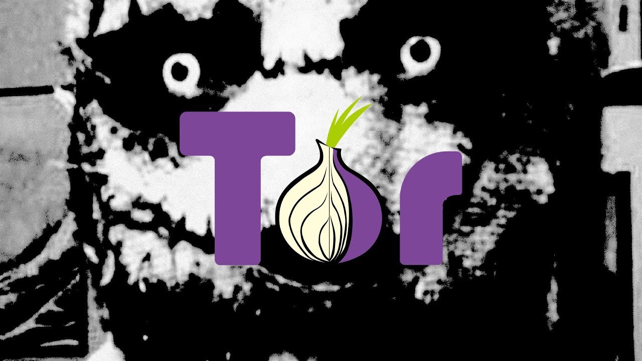 La peligrosa MARIANAS WEB | DEEP WEB y sus misterios - YouTube