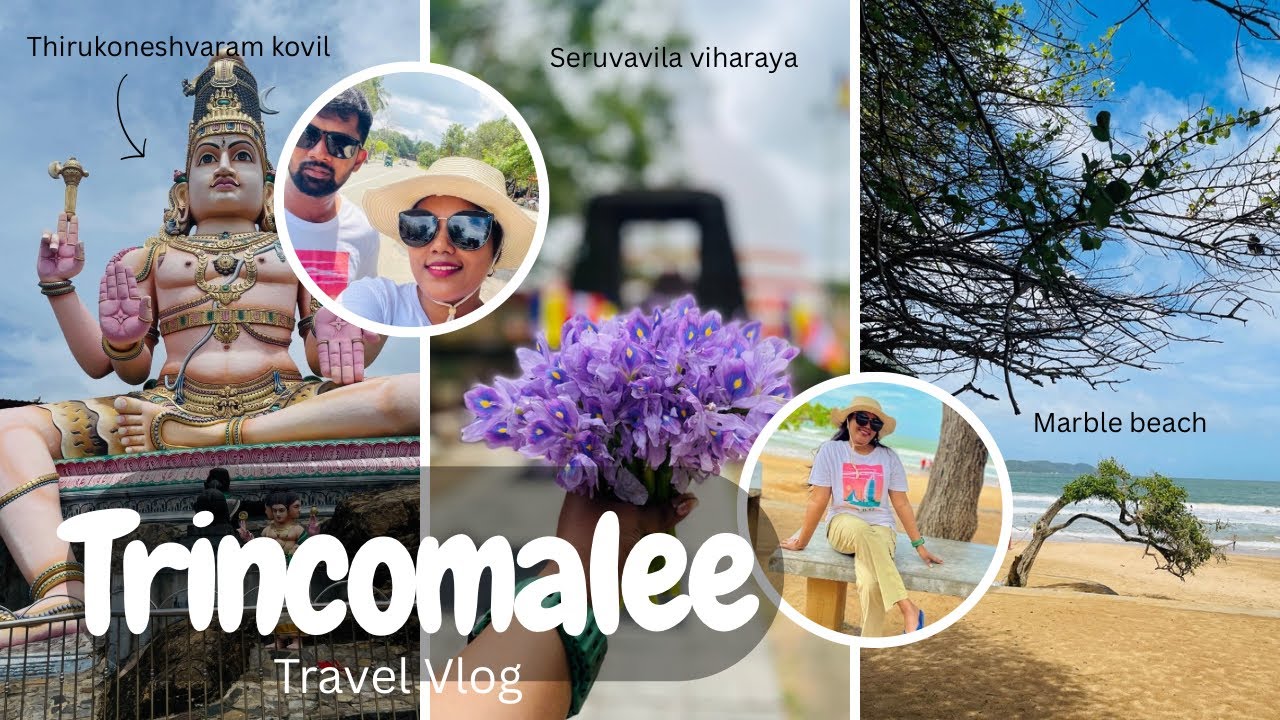 Trip to Trincomalee | Travel Vlog |Family Trip ත්‍රිකුණාමලය බලා.. # ...