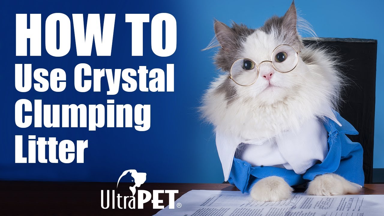 How-to-Use Clumping Crystals - YouTube