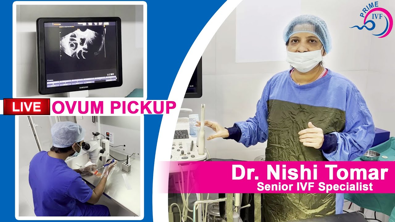 LIVE 🛑IVF Procedure | Ovum Pickup in IVF | Oocyte Retrieval Procedure ...