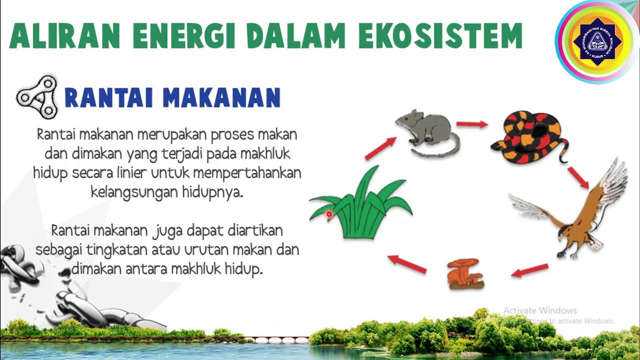 IPA KELAS 5 II ALIRAN ENERGI DAN SIKLUS NUTRIEN - YouTube