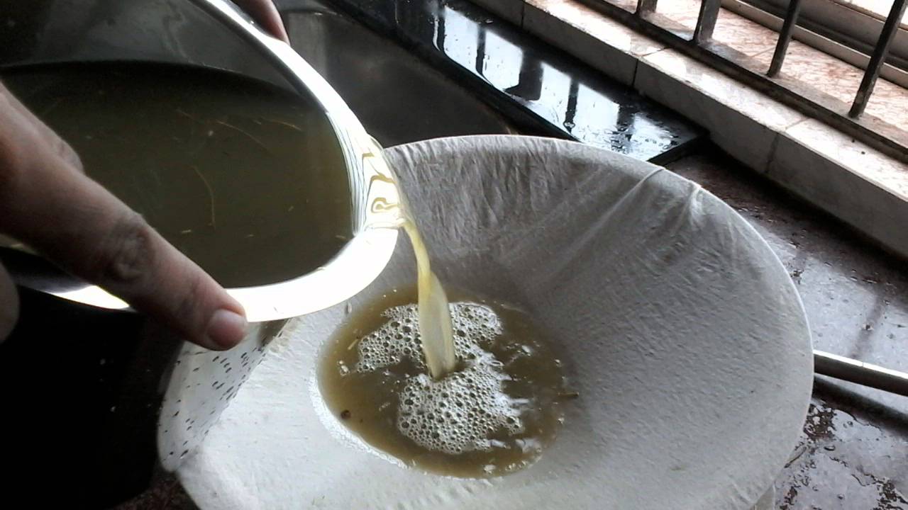 Giloy Satva, Giloy Sat, Guduchi Satva Uses, Preparation - YouTube