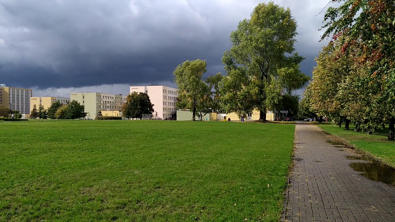 First Days in Poland(3) - YouTube