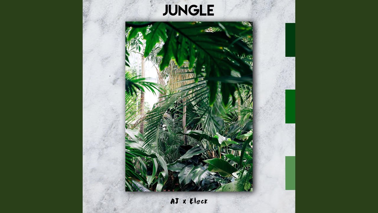 Jungle (feat. Eleck) - YouTube