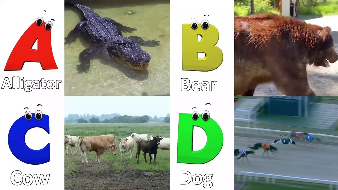 Animals ABC Song | Animals Alphabet Song | Alphabet Letters | Phonics ...