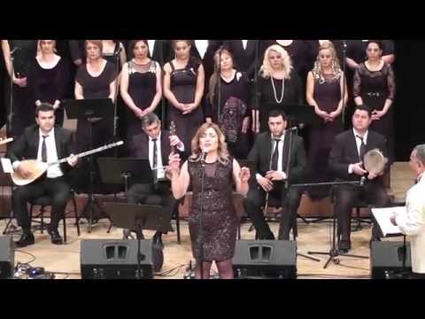 BİR ÇİFT TURNA GÖRDÜM & Nilgün DÜŞTÜ