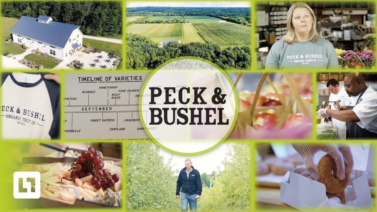 Peck & Bushel | Live Video - YouTube