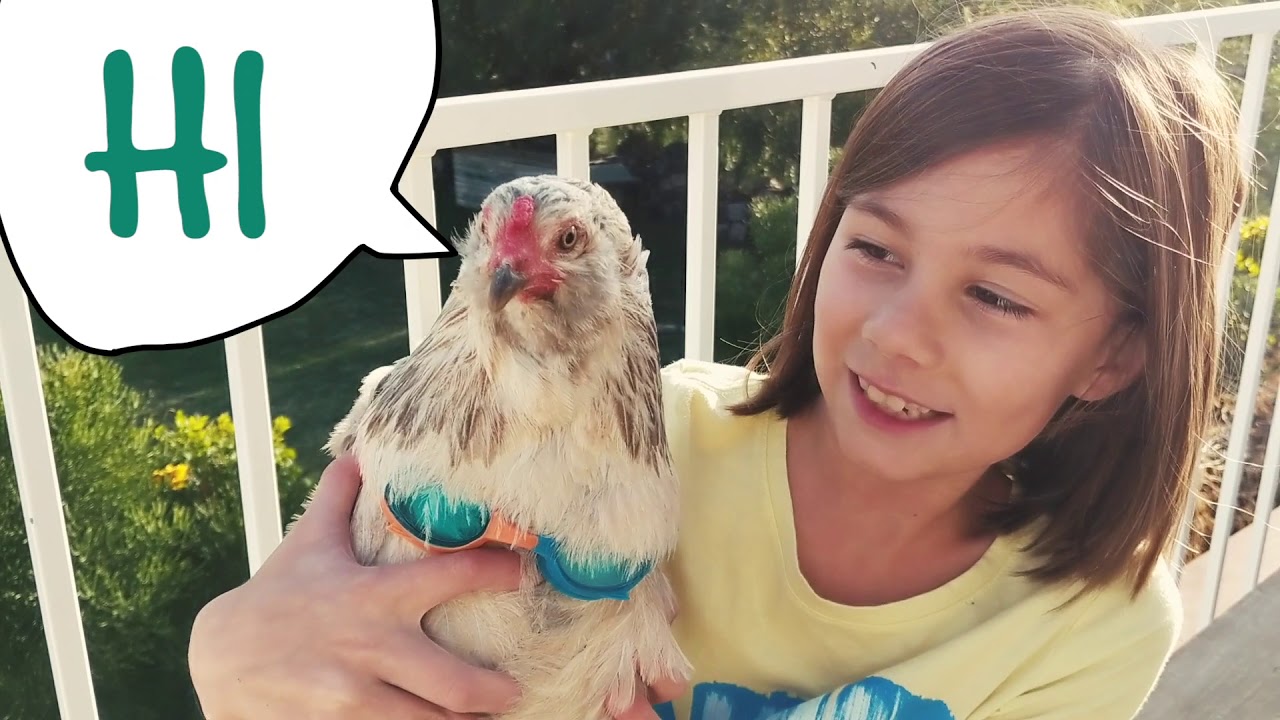 Meet Marshmallow | Family Farm - YouTube