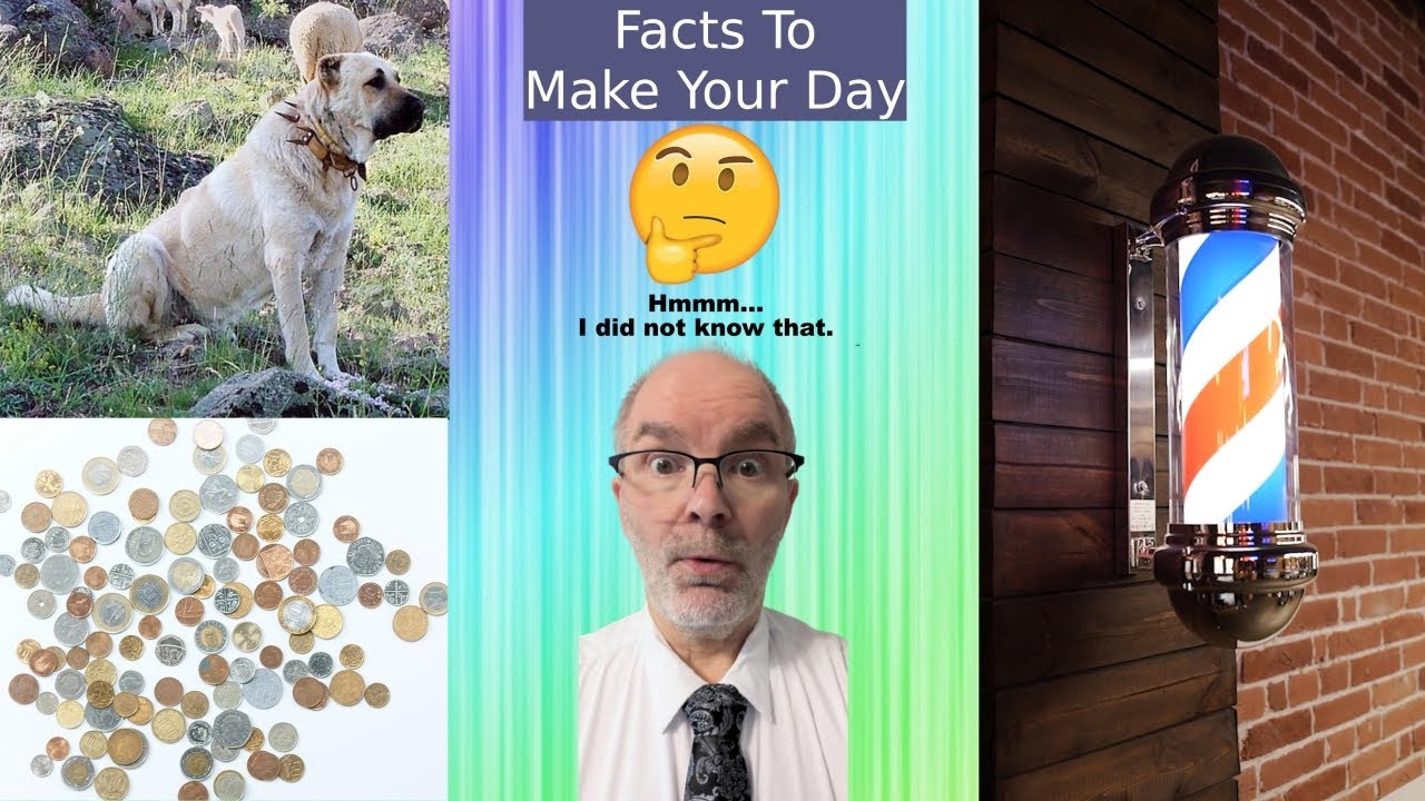 30 Random Facts to Make Your Day #41 - YouTube