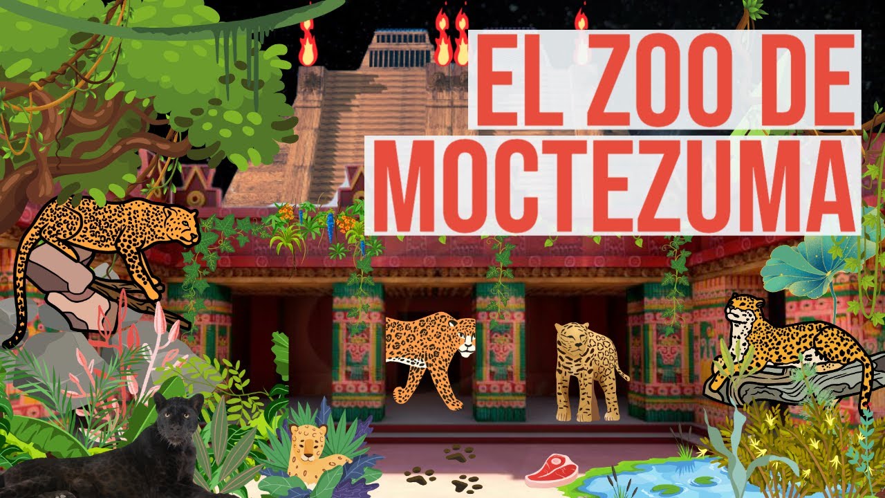 El magnifico Zoológico de Moctezuma en Tenochtitlan - YouTube