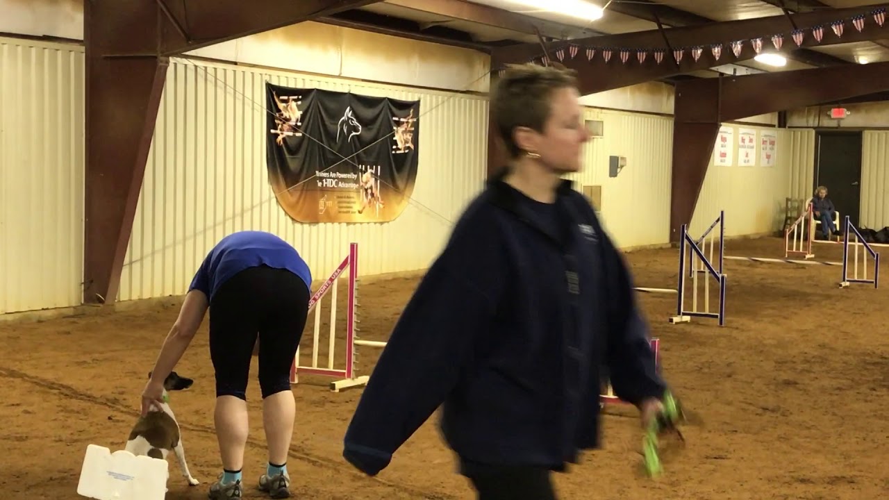 Nov Fast great run Q Jan2019 - YouTube