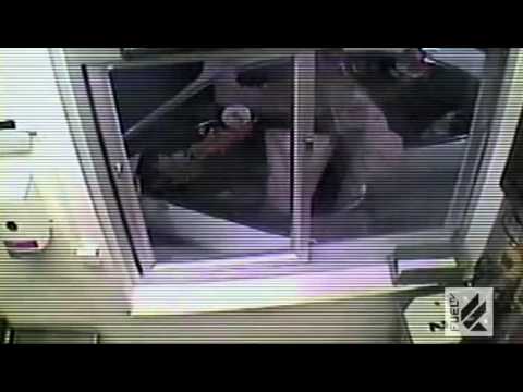 Bas Rutten Punk Payback S01E01