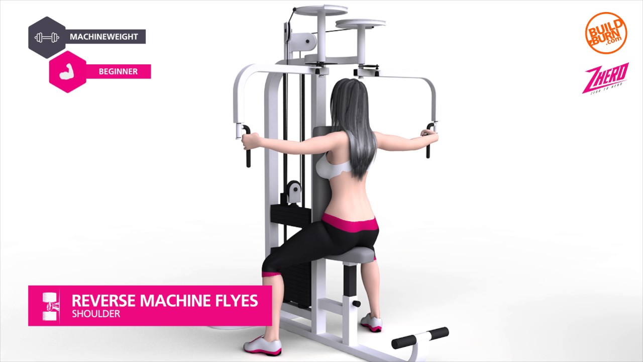 Shoulder Reverse Machine Flyes - YouTube