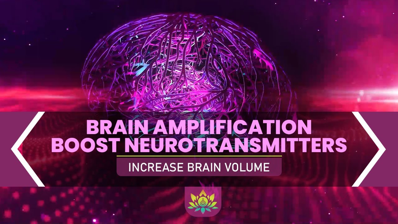 Brain Amplification Boost Neurotransmitters | Increase Brain Volume ...