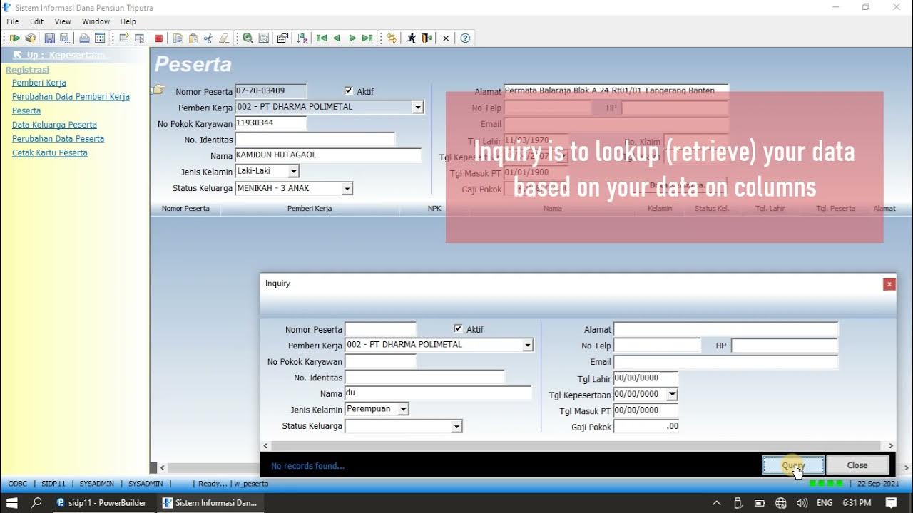 #PowerBuilder Datawindow Retrieval inquiry based on user input at ...