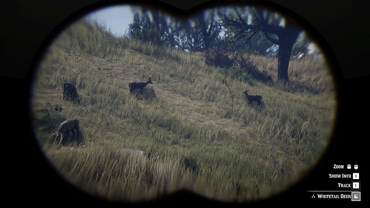 Red Dead Redemption 2 - 4 Perfect Deer - YouTube