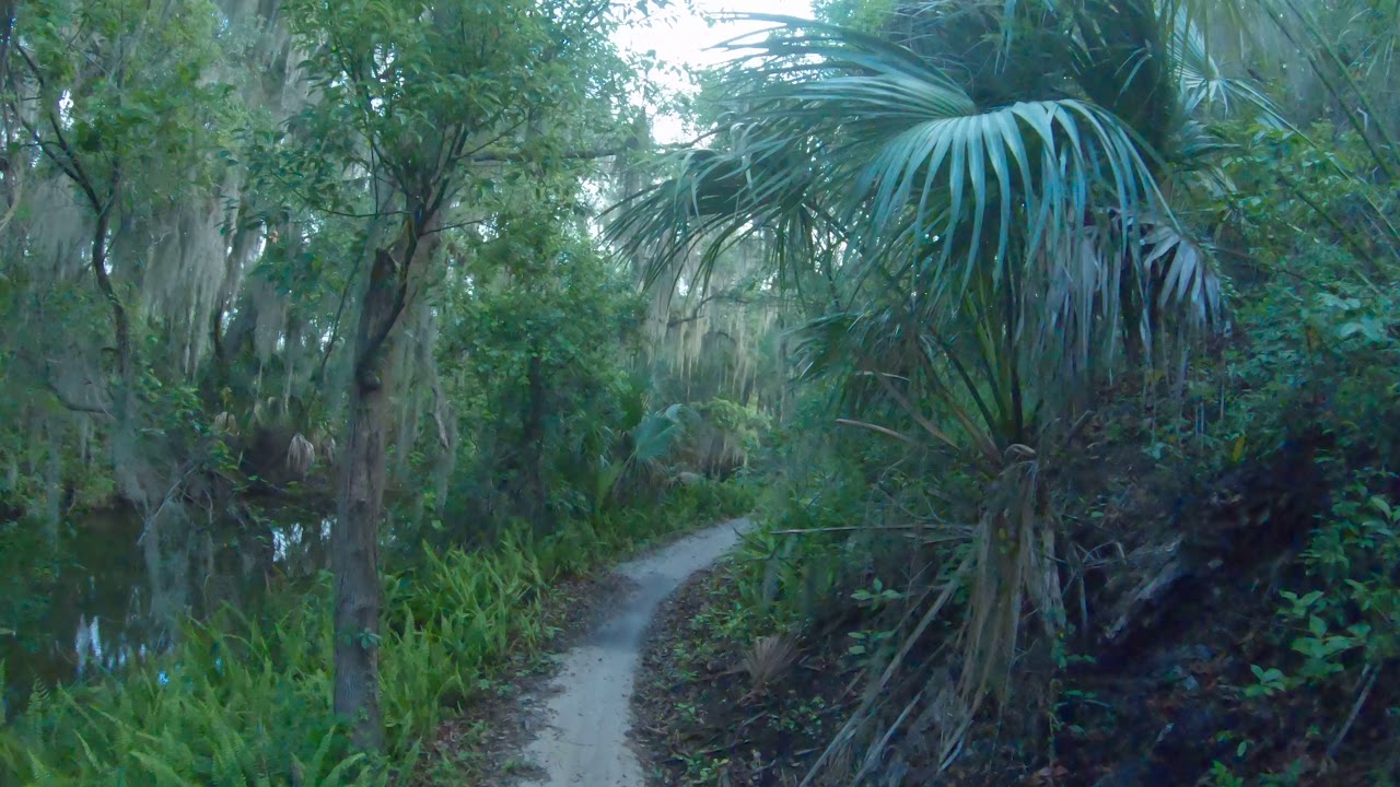 Carter road 5-26-20 part 3 - YouTube