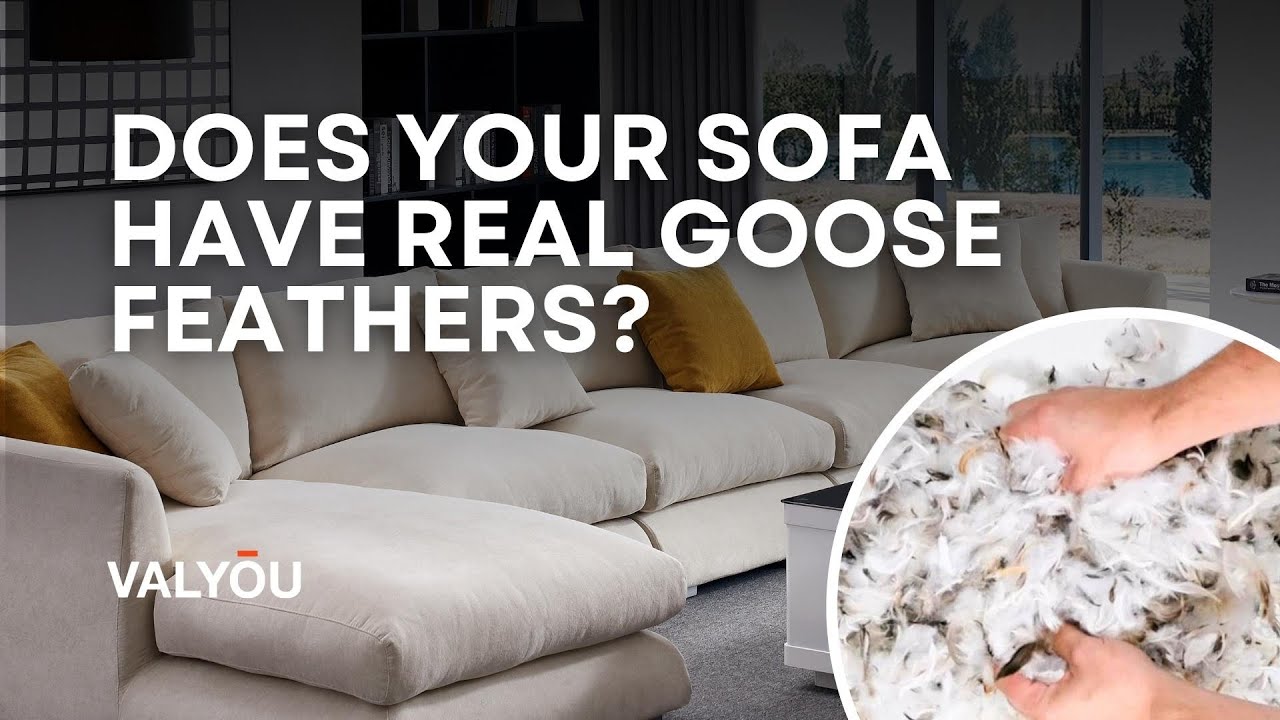 Does your sofa have Real Goose Feathers? - YouTube