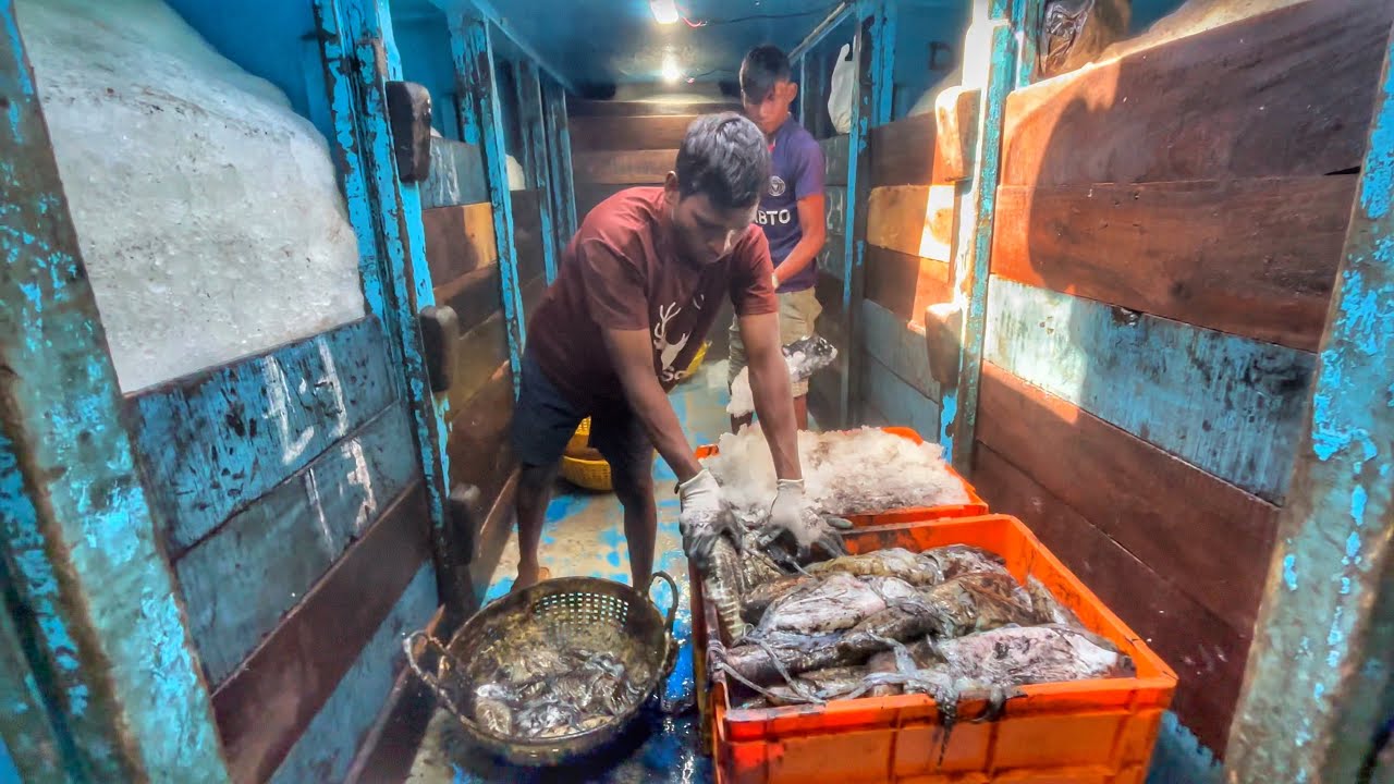 💢Unbelievable 🤩Lot Of Caught “Cuttlefish” | We Caught ton’s of fish’s ...