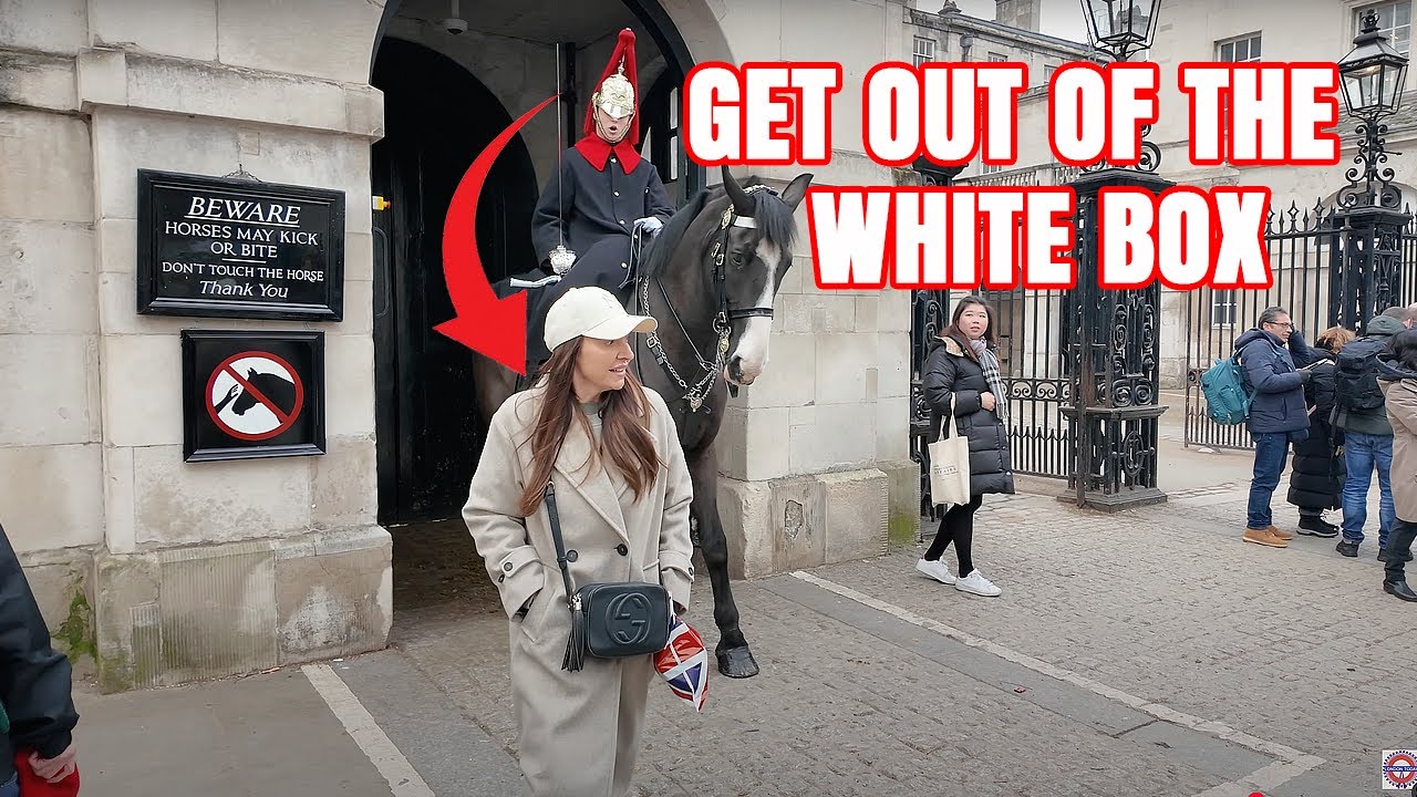 The White Box Drama: Guard vs Tourist..! - YouTube
