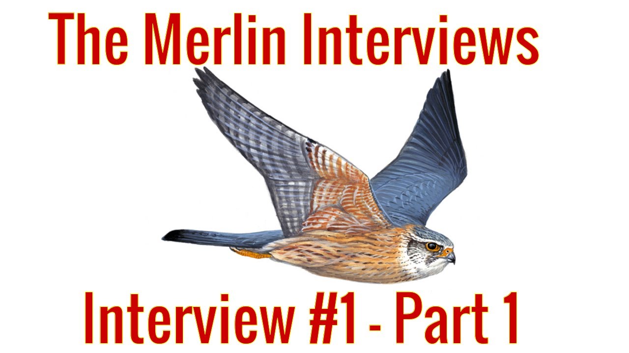 Merlin Interview #1 Part 1 - YouTube