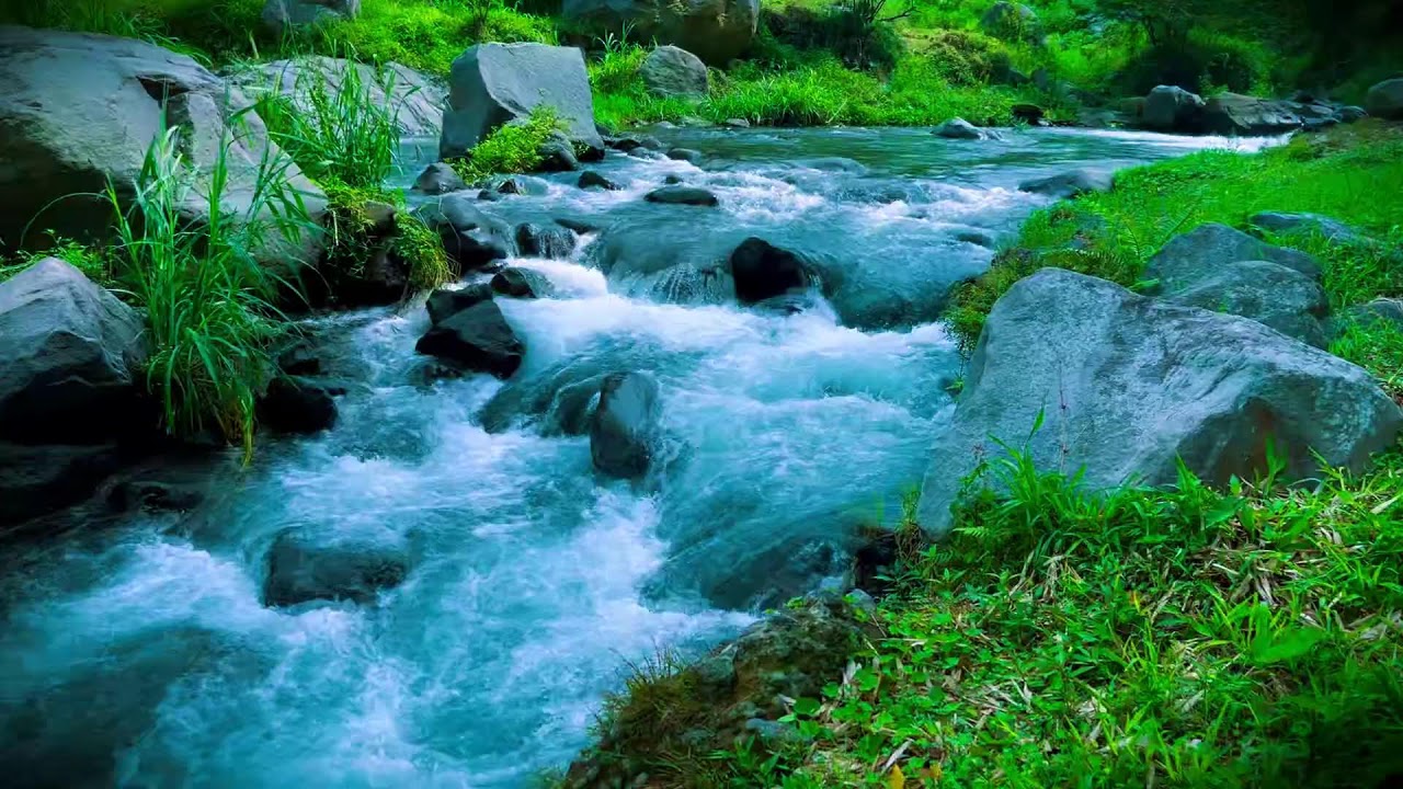 Soothing River Sounds for Meditation and Restful Sleep | 10 Hours of ...