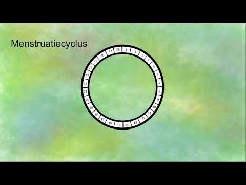 Ongesteld worden (menstruatiecyclus)