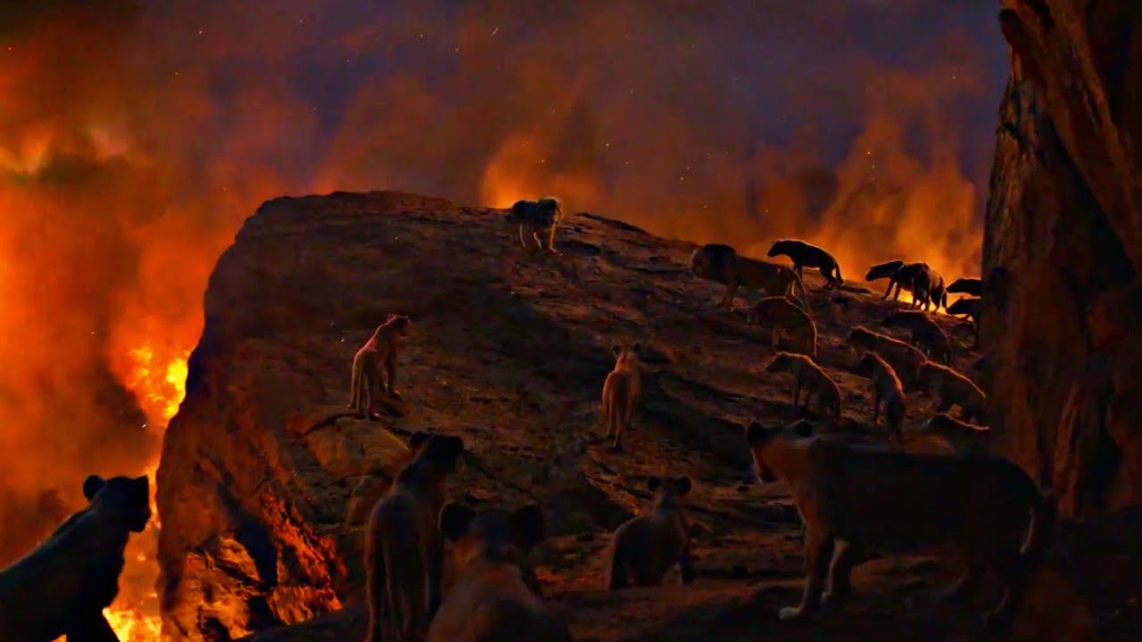 El Rey León 2019 - Simba vs hienas en la roca [Latino] 1080 - YouTube