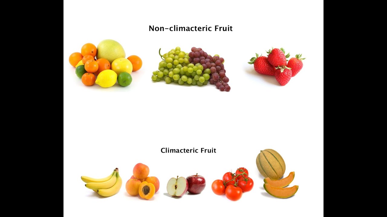 Climacteric & non climacteric fruit كيفيه تخزين الخضار و الفواكة - YouTube