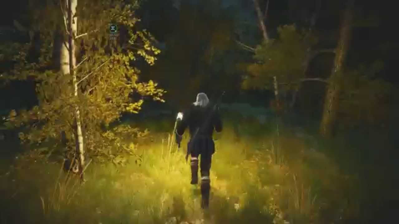 The Witcher 3 Awesome Moments #1: Finding Letho...Randomly - YouTube