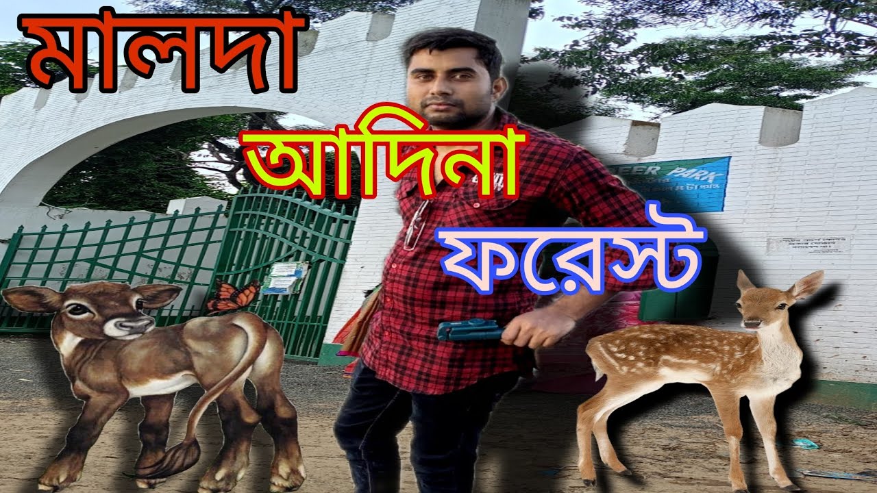 Adina deer park malda / adina forest mini zoo / malda tourist spot ...