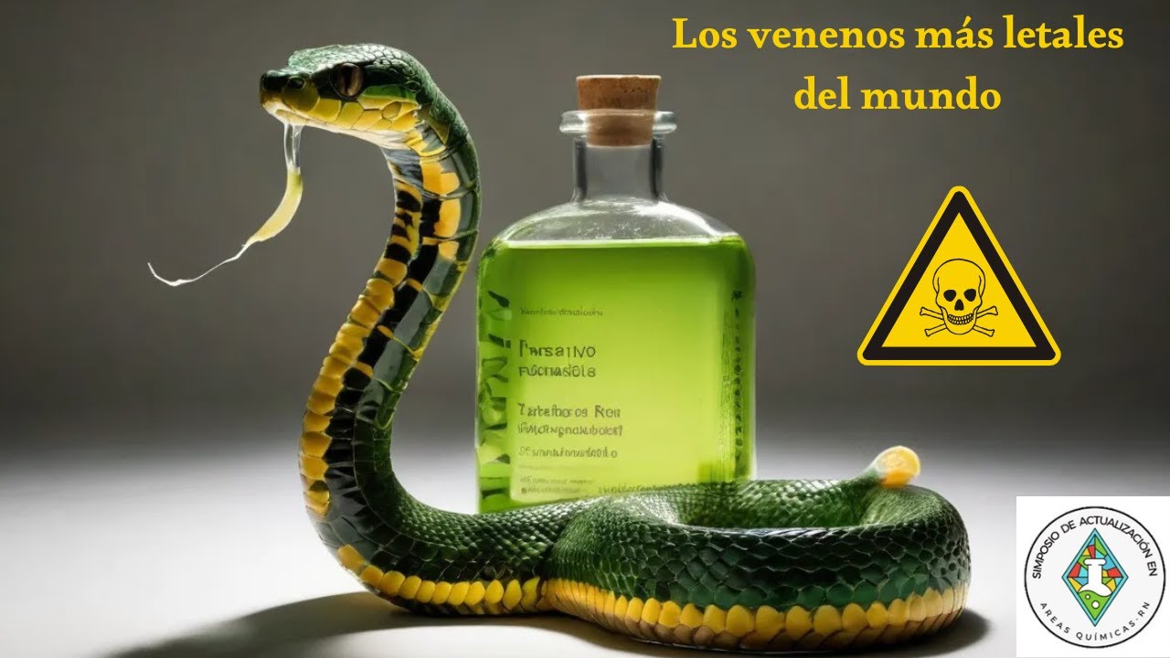 La Química De Los Venenos Más Letales Del Mundo - YouTube