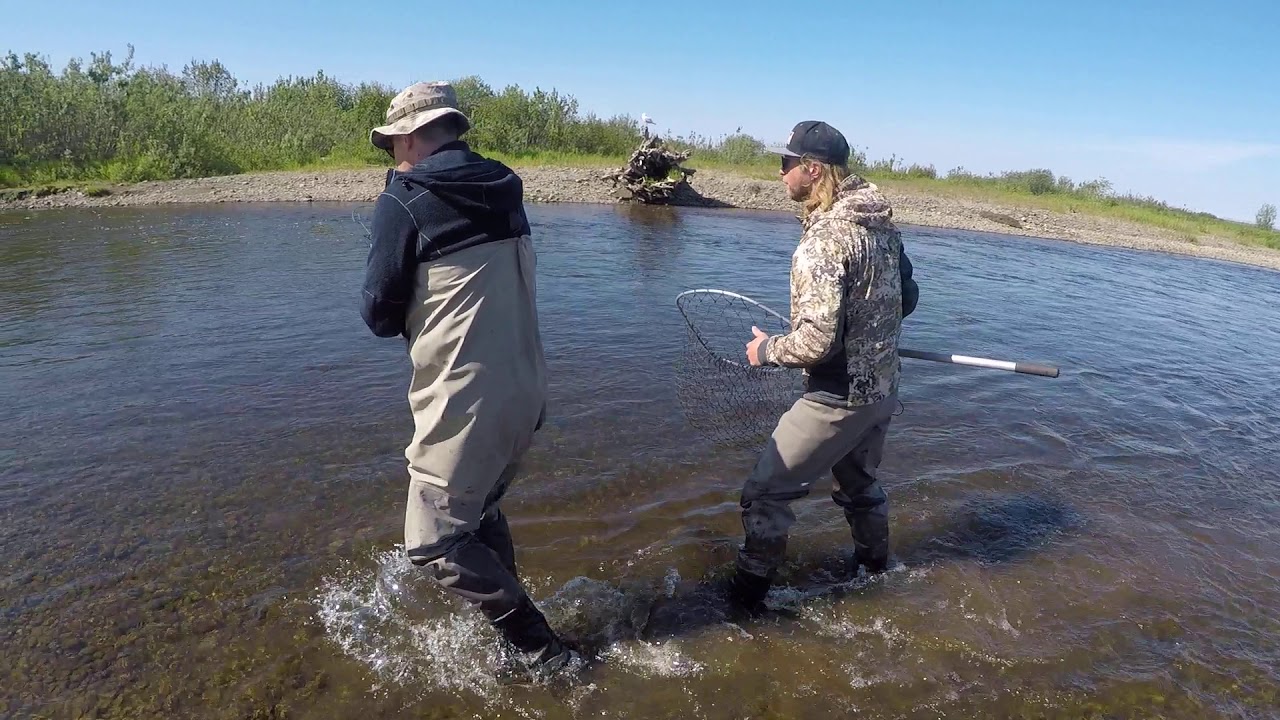 Part 2: Beauty king salmon on the Kasilof River in AK via Tower Rock ...
