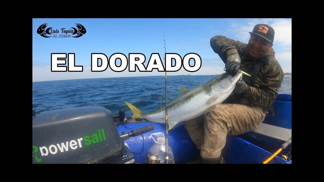 UN GRAN DORADO - YouTube
