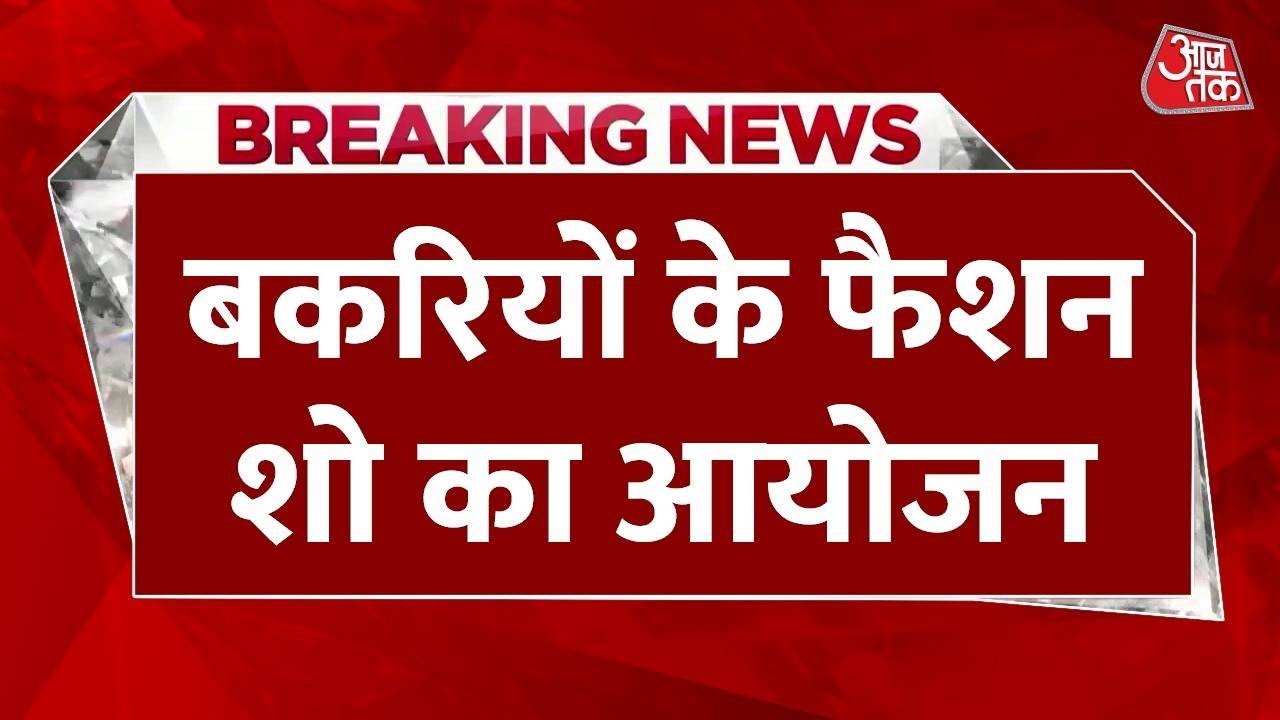 Breaking News: Goat मालिकों ने अपनी बकरी को रैंप पर चलाए | Drove the ...