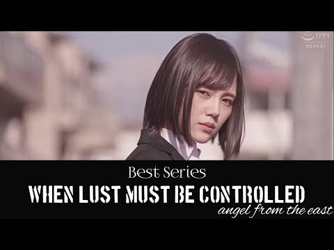 Best Series#1 Investigator (Prestige)