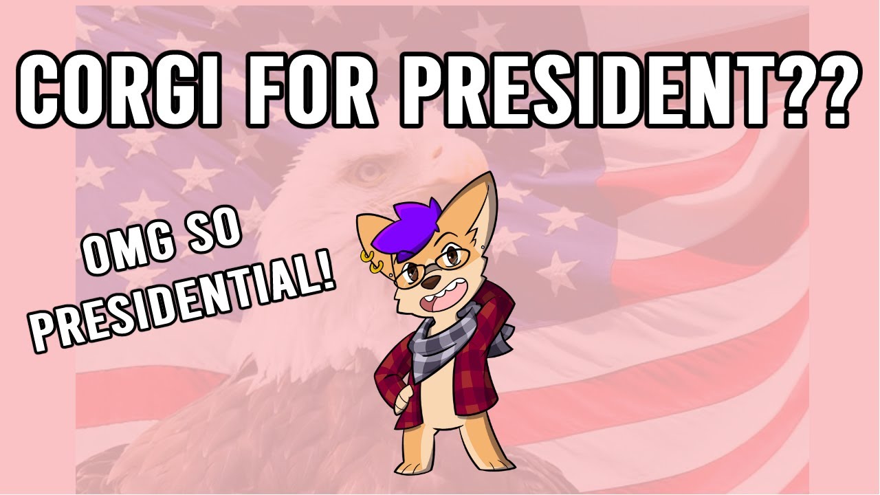 Important PSA (Pt 2): Corgi for President?? - YouTube