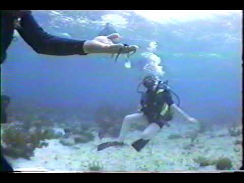 Joe Laura Scuba Diving - YouTube
