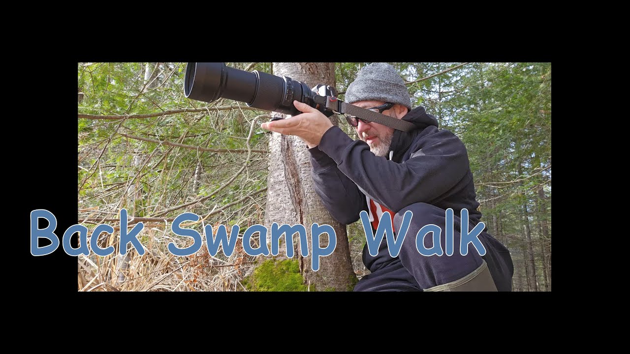 Swamp Walk - Photography Trail Cams & Hockey Talk - YouTube